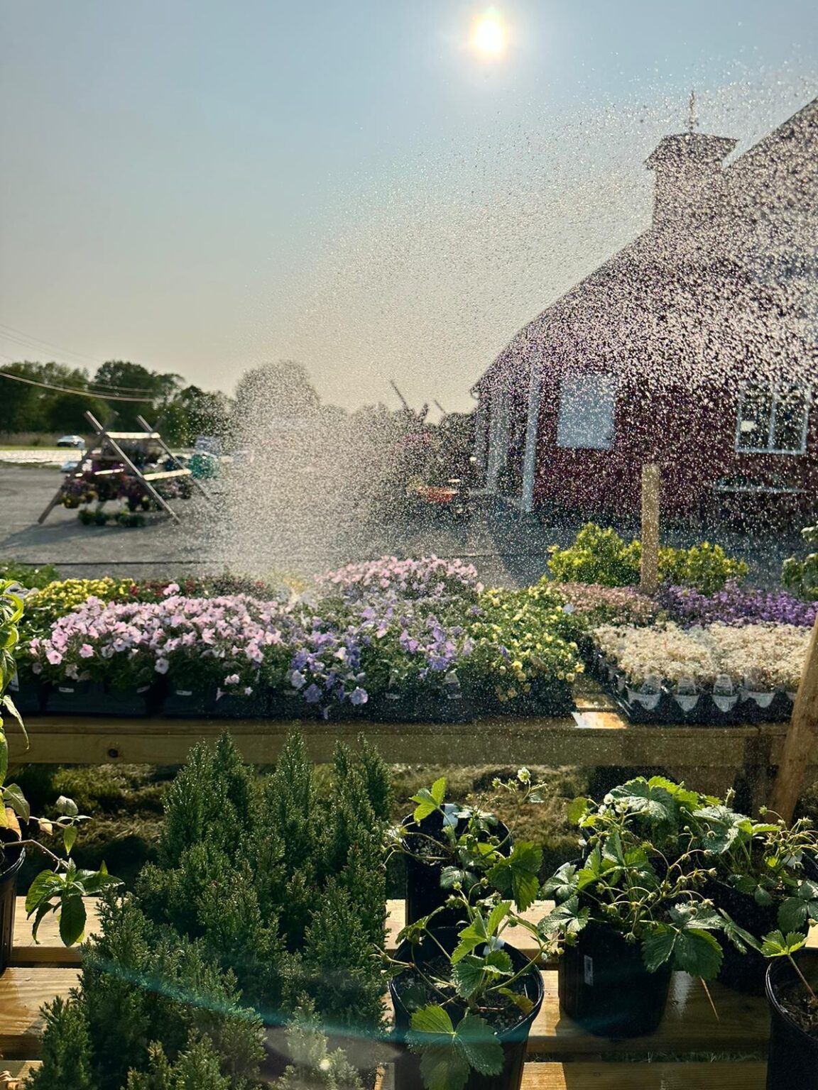 Enjoy an Amazing Visit Vineyard Farm | West Bridgewater, MA