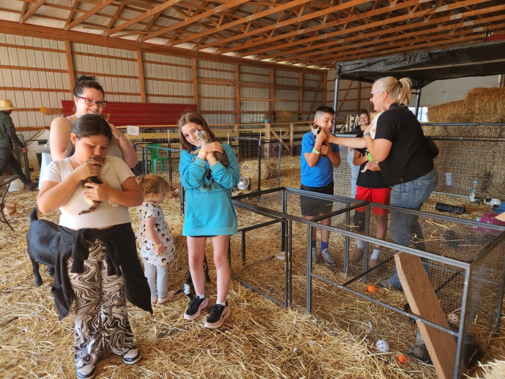 2025 in Review: It Was Never Just About the Farm. It Was Always About ...