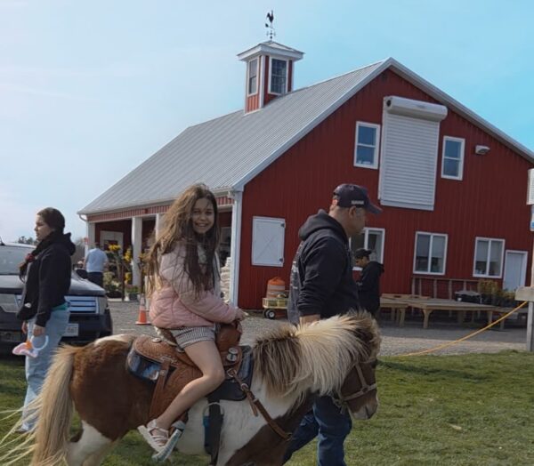 The Best Events & Schedules at Vineyard Farm
